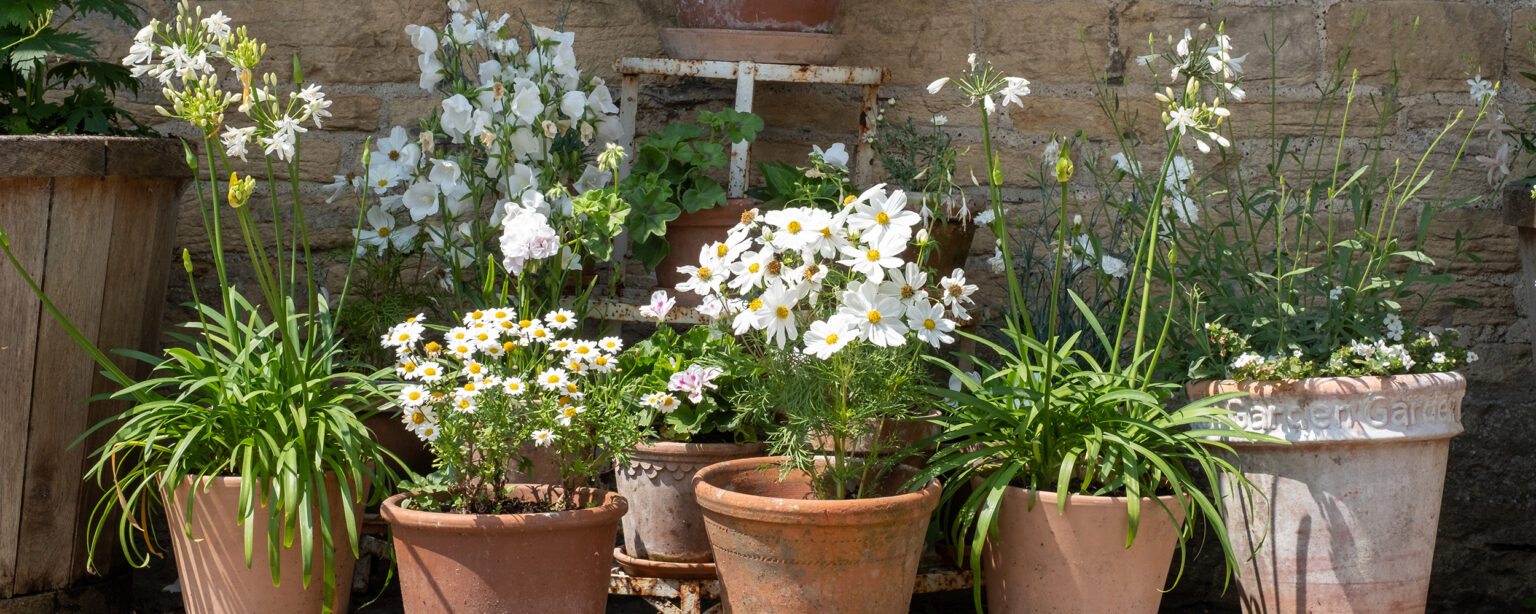 Contact - Ben Knight Gardens, Kingham, Cotswolds