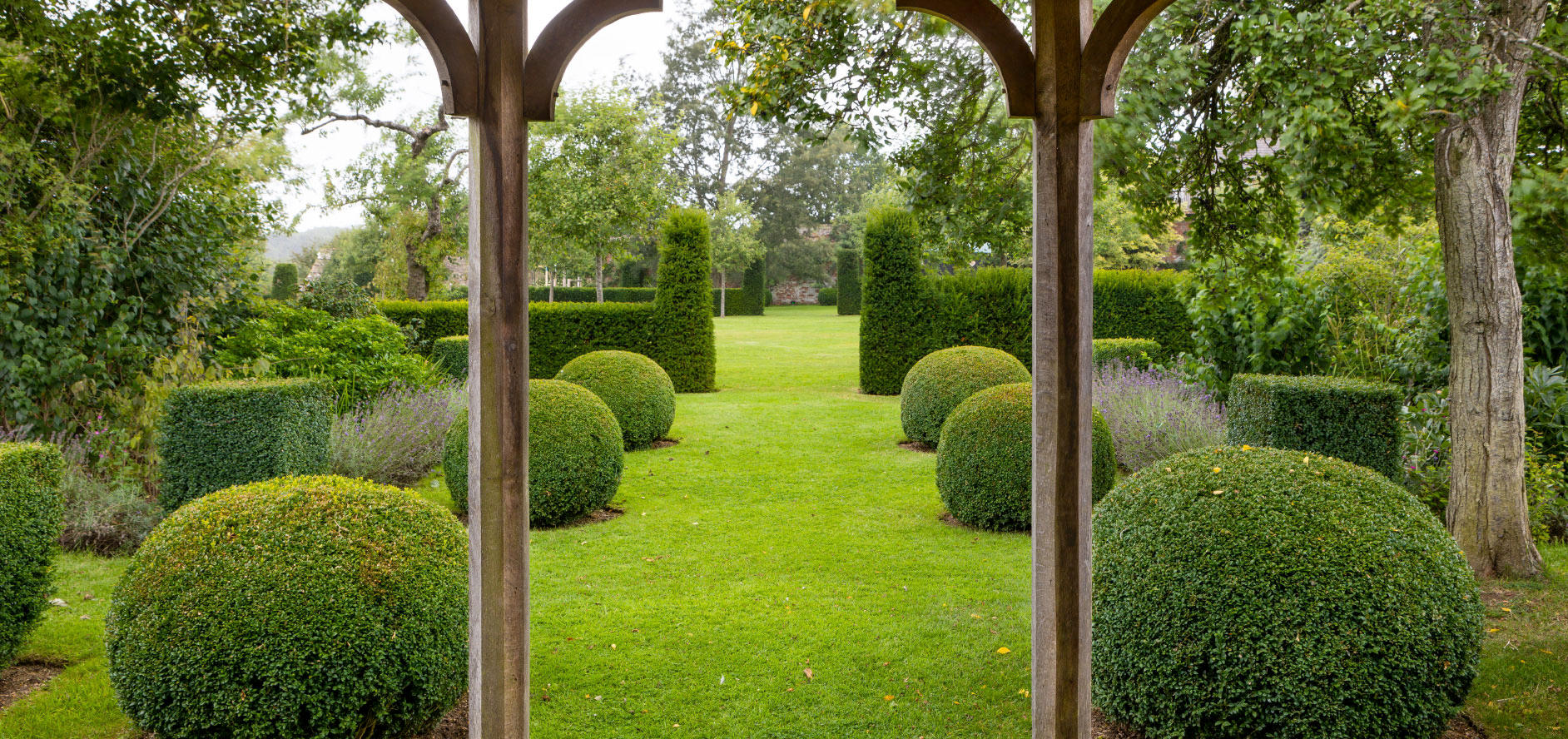 Home - Ben Knight Gardens, Kingham, Cotswolds.