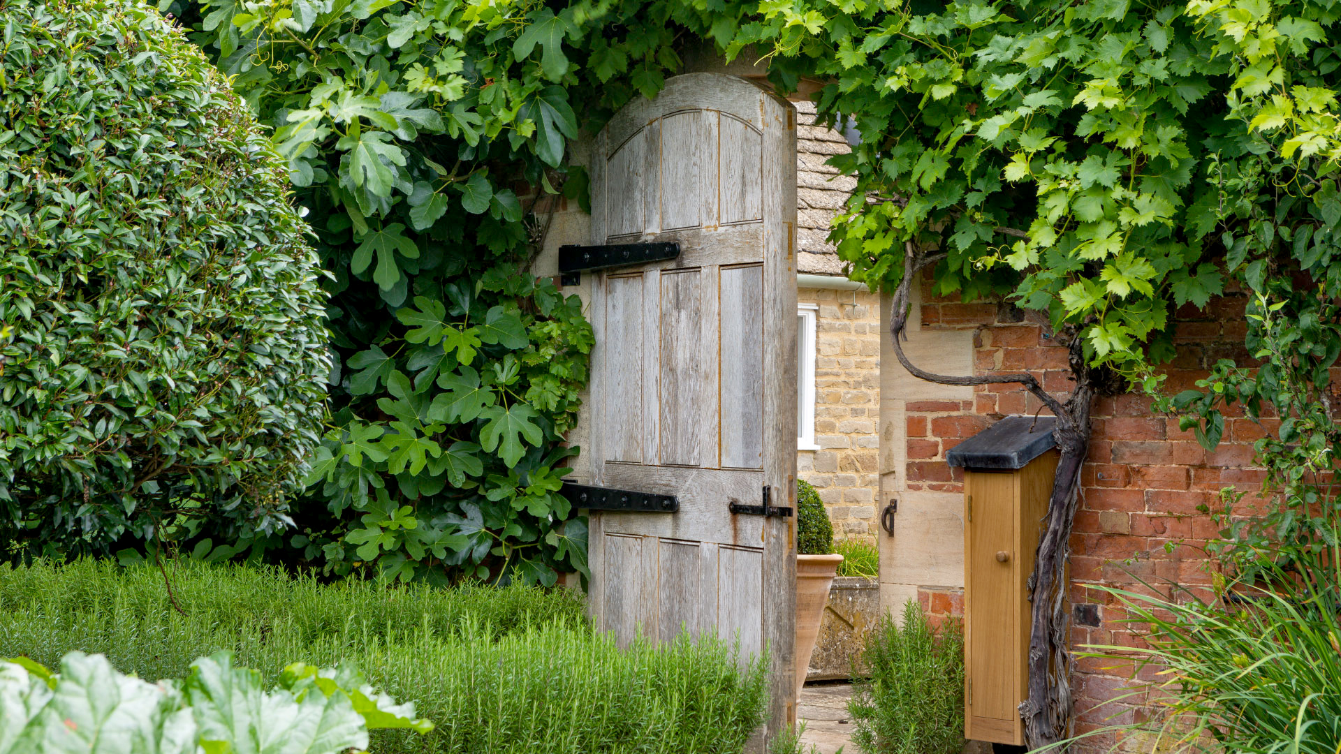 Home - Ben Knight Gardens, Kingham, Cotswolds.