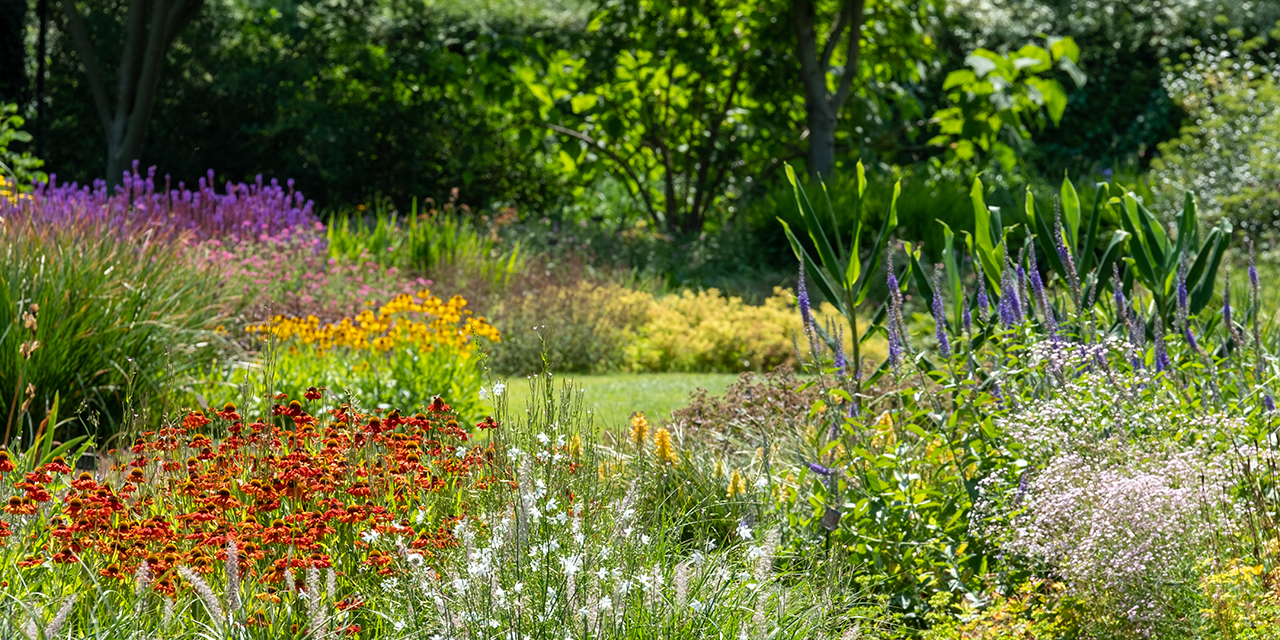 Maintenance - Ben Knight Gardens